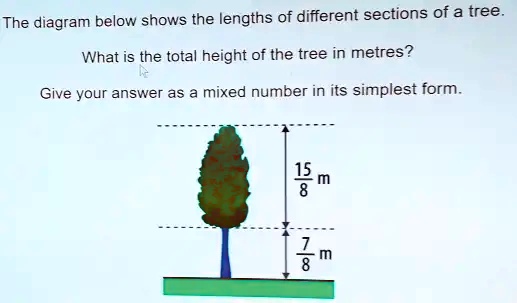 The diagram below shows the lengths of different sections of...