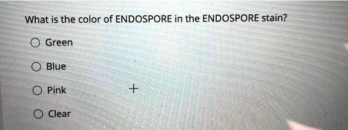 SOLVED:What is the color of ENDOSPORE in the ENDOSPORE stain? Green ...