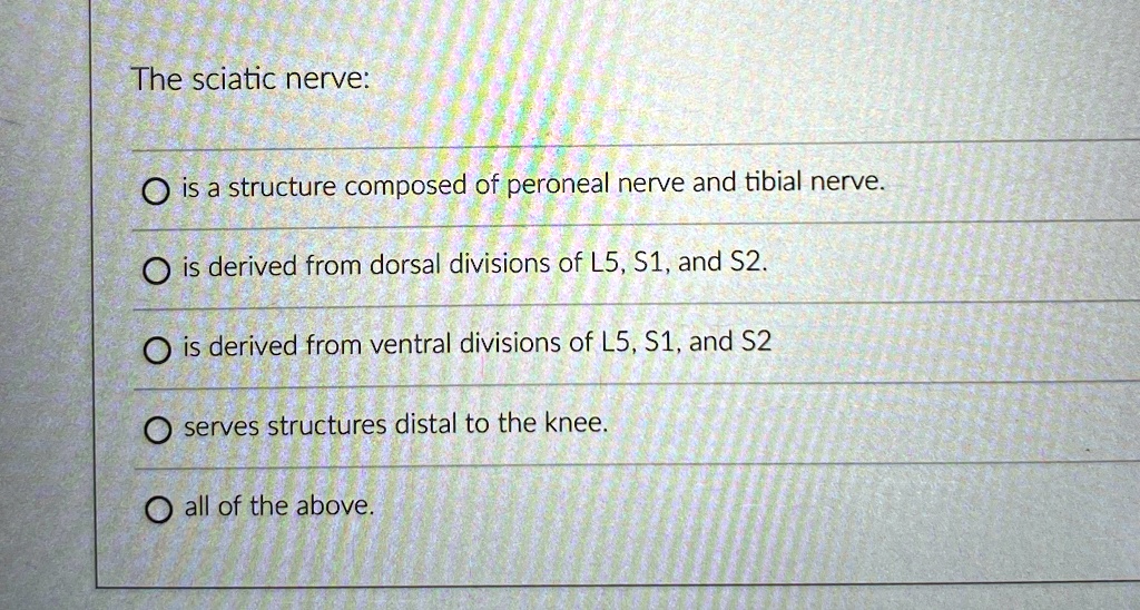The sciatic nerve: ? is a structure composed of peroneal nerve and ...