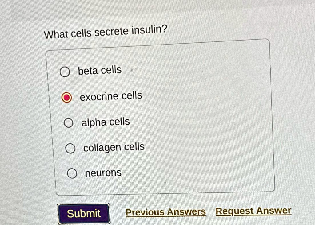 SOLVED: What cells secrete insulin? beta cells exocrine cells alpha ...