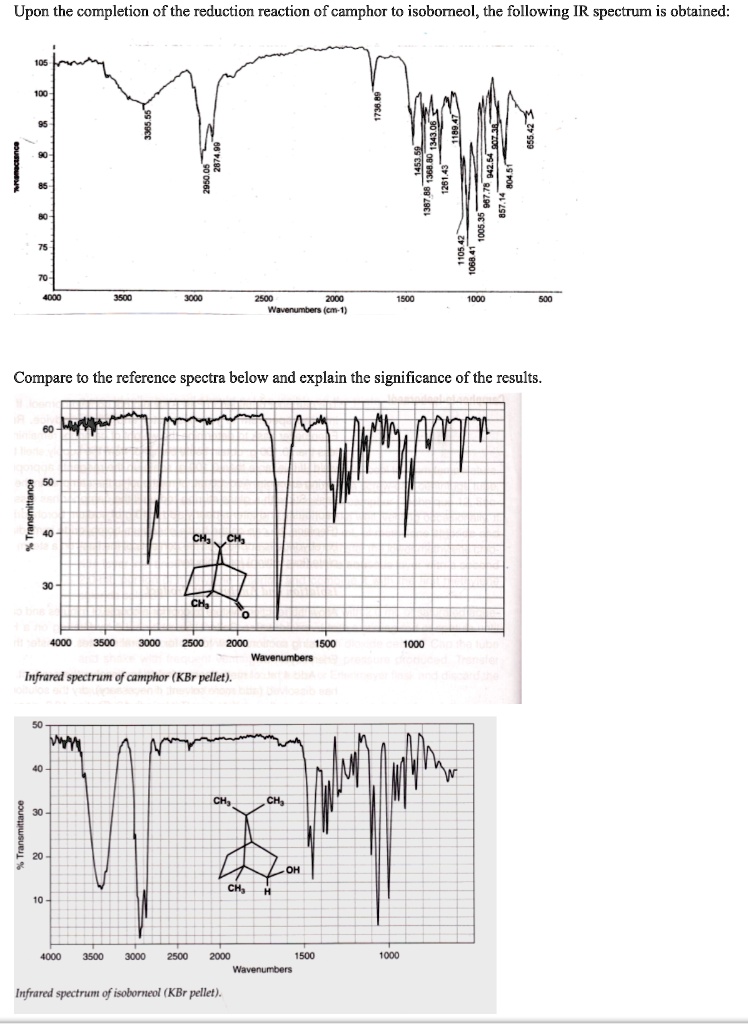 SOLVED:Upon the completion of the reduction reaction of camphor to ...