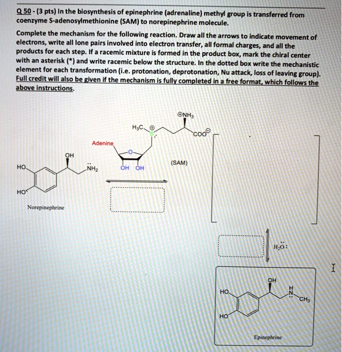 SOLVED: 9.50 - (3 pts) In the biosynthesis of epinephrine (adrenaline ...