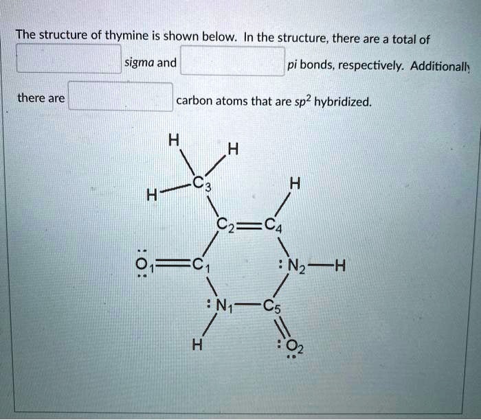 SOLVED: The structure of thymine is shown below. In the structure ...