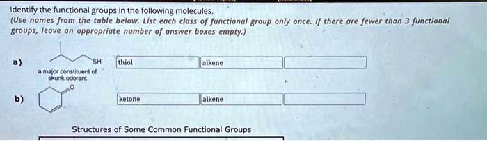 Solved Texts Identify The Functional Groups In The Following 7538