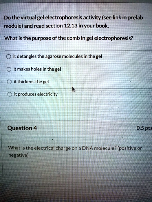 SOLVED: Do the virtual gel electrophoresis activity (see link in prelab ...
