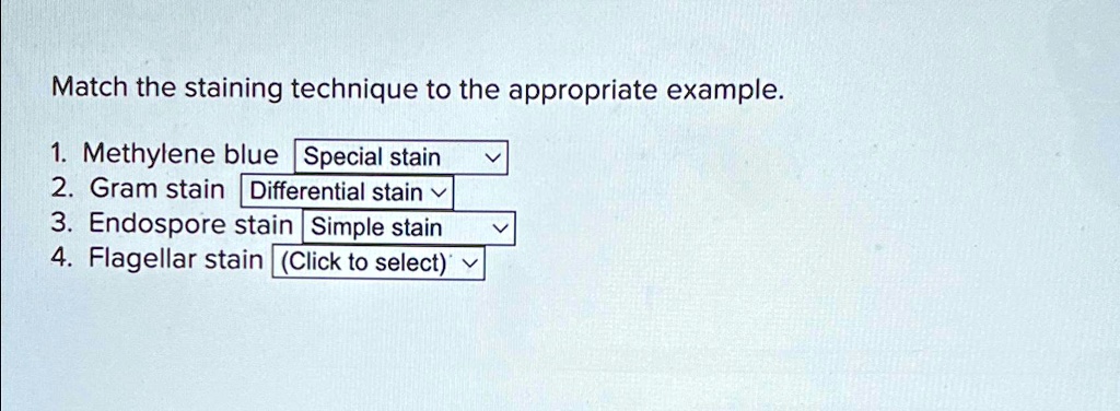 Match the staining technique to the appropriate example. 1. Methylene ...