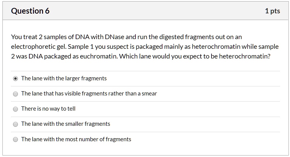 SOLVED: Question 6 1 pts You treat 2 samples of DNA with DNase and run ... SOLVED: Question 6 1 pts You treat 2 samples of DNA with DNase and run ...