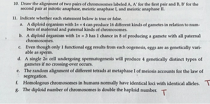 SOLVED: 10. Draw the alignment of two pairs of chromosomes labeled A, A ...