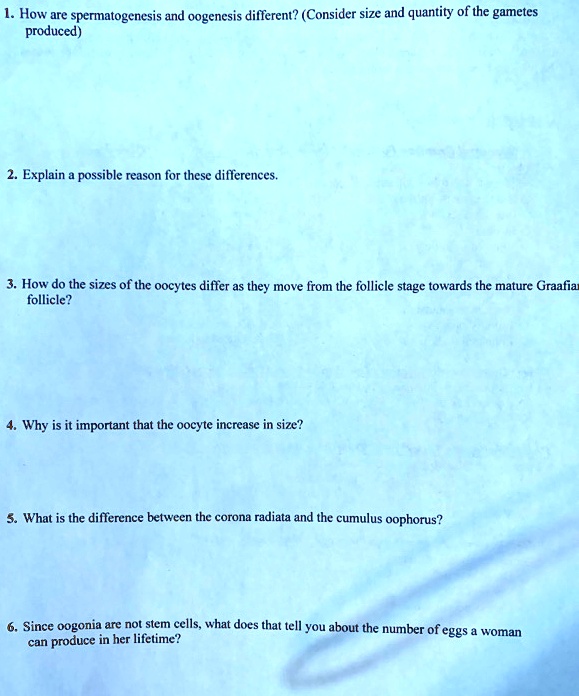 Solved 1 How Are Spermatogenesis And Oogenesis Different Consider 2494