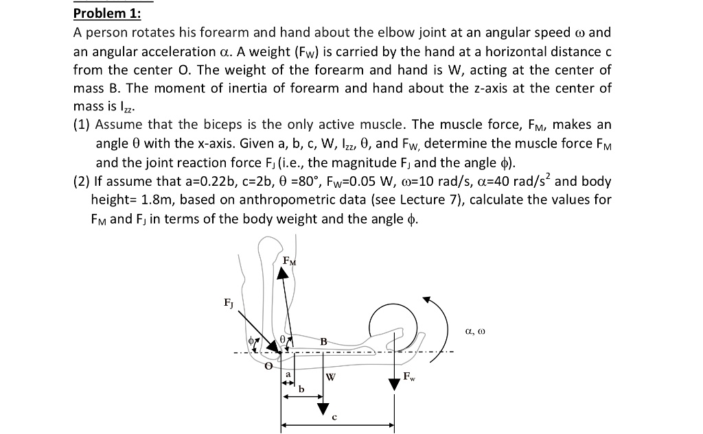 SOLVED: Problem 1: A person rotates his forearm and hand about the ...