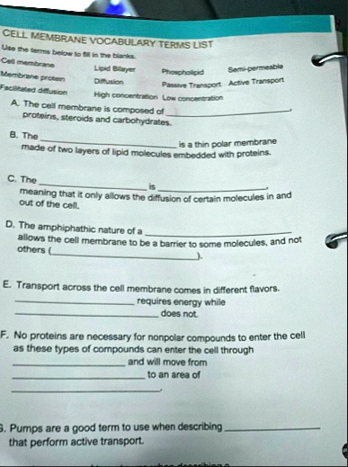 cell membrane vocabulary terms list use the terms below to fill in the ...