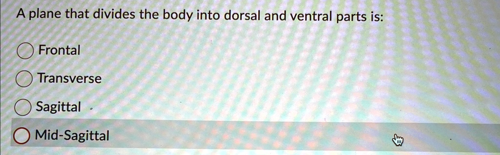 A plane that divides the body into dorsal and ventral parts is: Frontal ...