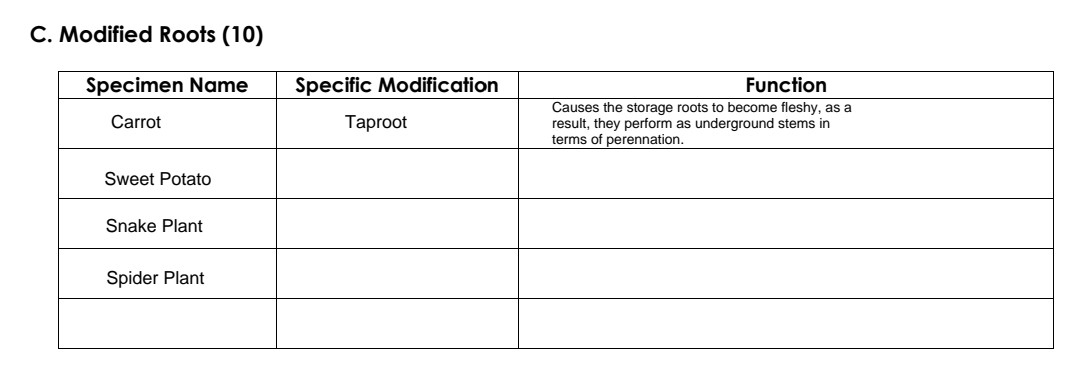 SOLVED: C. Modified Roots (10) Specimen Name Specific Modification 1c ...