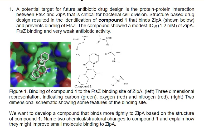 SOLVED: A potential target for future antibiotic drug design is the ...