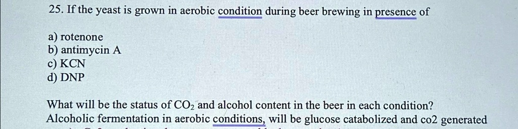 SOLVED: If the yeast is grown in aerobic condition during beer brewing in presence of a ...