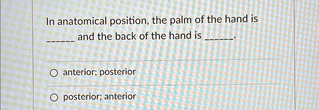 In anatomical position, the palm of the hand is and the back of the ...