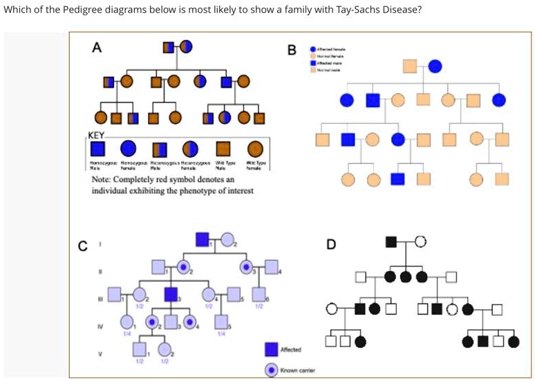 Which of the Pedigree diagrams below is most likely to show a family ...
