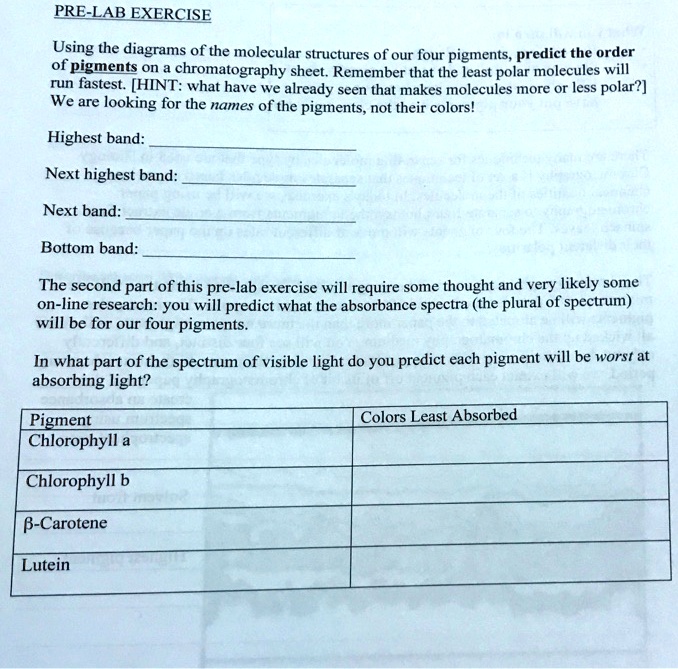 SOLVED: PRE-LAB EXERCISE Using " the diagrams of the molecular ...