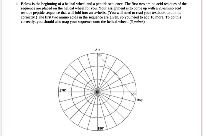 1. Below is the beginning of a helical wheel and a peptide sequence ...