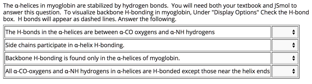 SOLVED: The Î±-helices in myoglobin are stabilized by hydrogen bonds ...