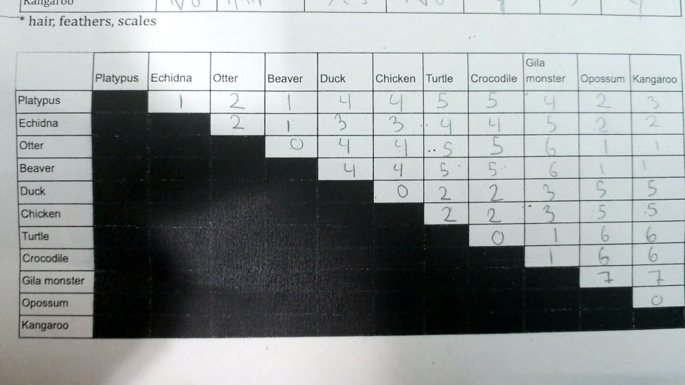 hair, feathers, scales Gila Platypus Echidna Otter Beaver Duck Chicken ...