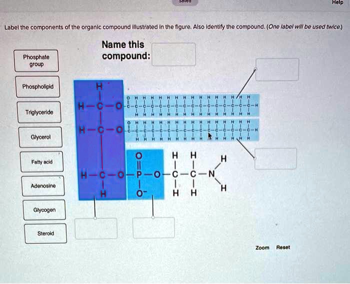 SOLVED: Help Label the components of the organic compound Illustrated ...