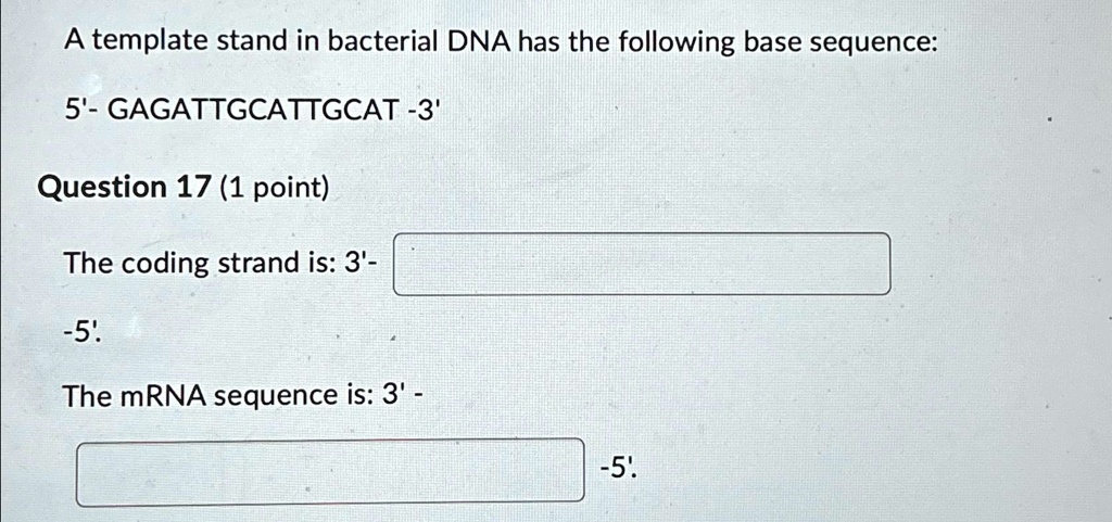 A template strand in bacterial DNA has the following base sequence: 5 ...