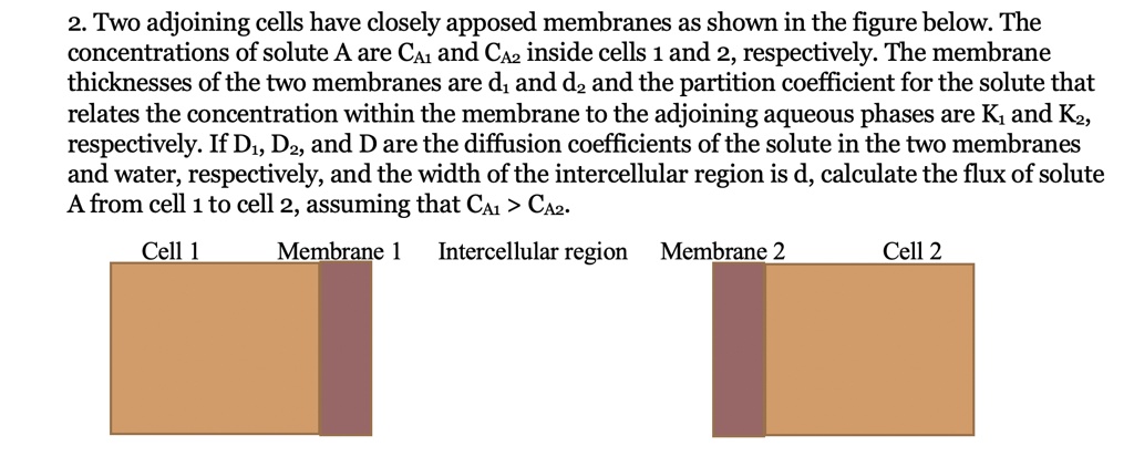 SOLVED: 2. Two adjoining cells have closely apposed membranes as shown ...