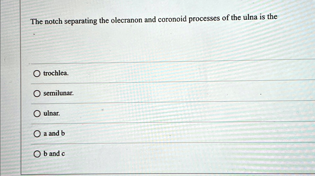The notch separating the olecranon and coronoid processes of the ulna ...