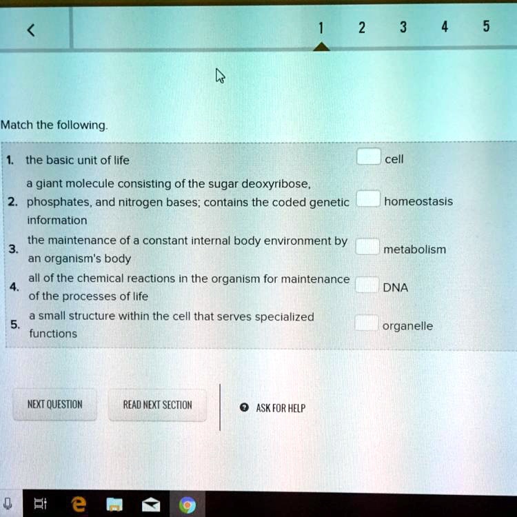 SOLVED: "Match the following 2 3 4 5 Match the following: the basic ...