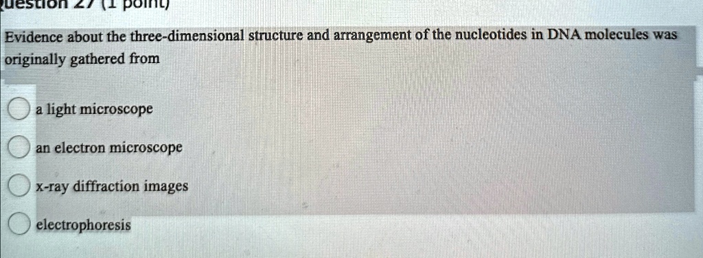 evidence about the three dimensional structure and arrangement of the ...