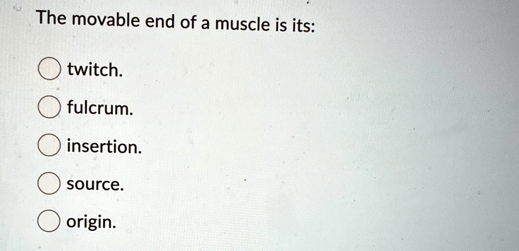 The movable end of a muscle is its: twitch. fulcrum. insertion. source ...