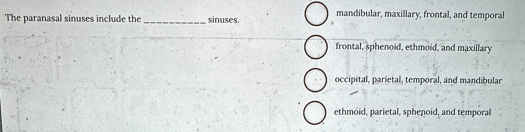 the paranasal sinuses include the sinuses mandibular maxillary frontal ...