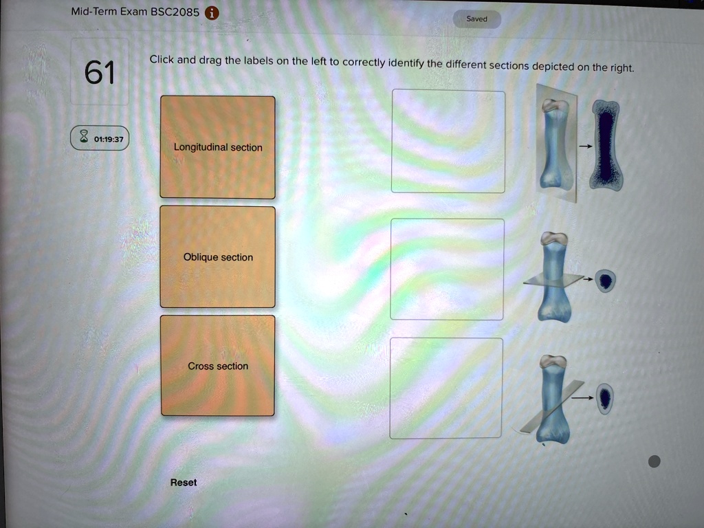 click and drag the labels on the left to correctly identify the ...