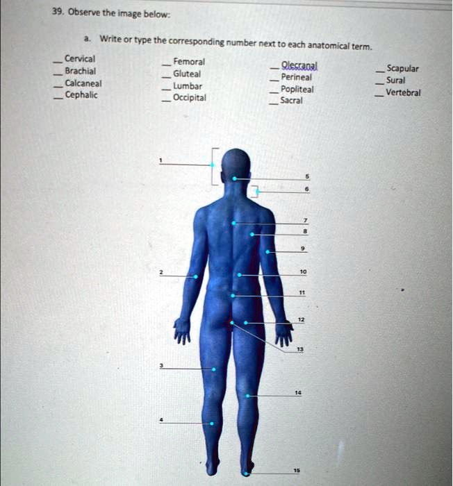 SOLVED: 39. Observe the image below: Write or type the corresponding ...