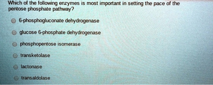 which of the following enzymes is most important in setting the pace of ...