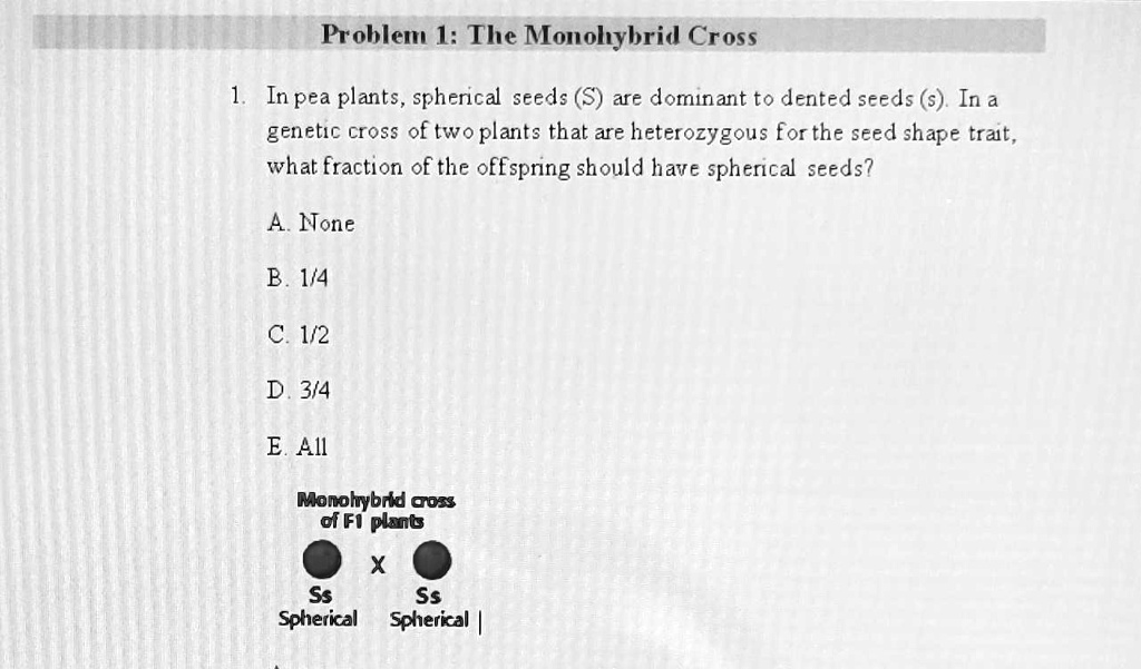 Problem 1: The Monohybrid Cross 1. In pea plants, spherical...