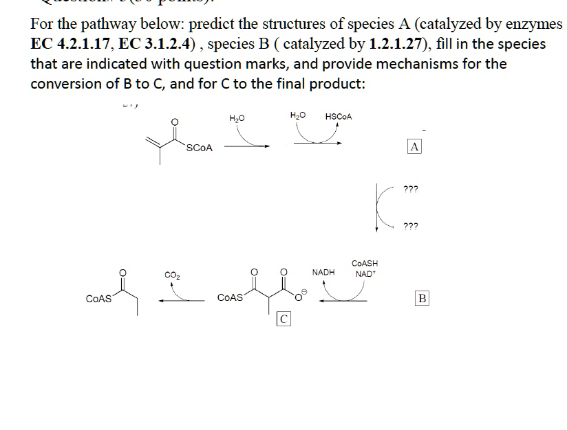 SOLVED: For the pathway below: predict the structures of species A ...