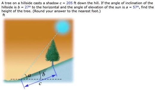 SOLVED: tree on hillside casts shadow 205 ft down the hill. If the ...