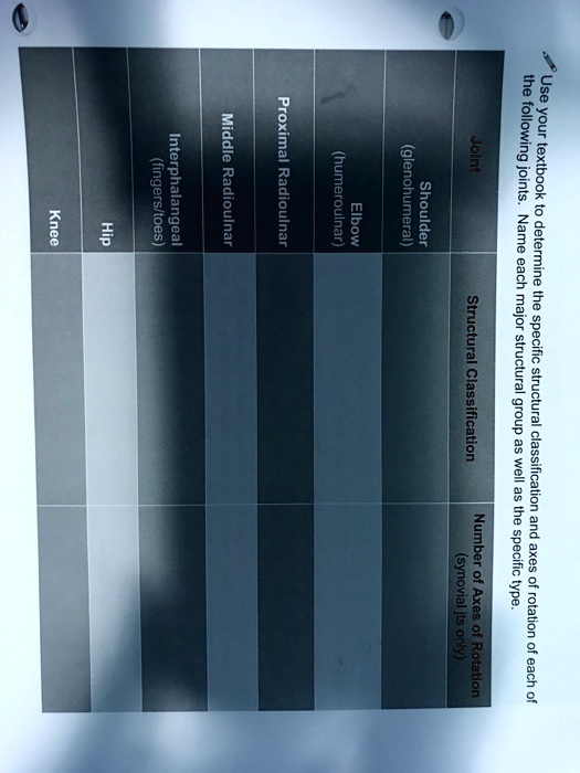 SOLVED: Interphalangeal, Middle Radioulnar, Proximal Radioulnar ...