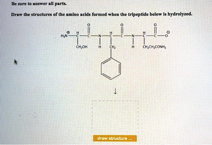 draw all three structures of the amino acids formed when the tripeptide ...