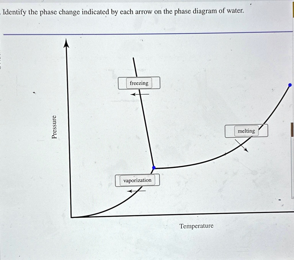 Identify the phase change indicated by each arrow on the phase diagram ...