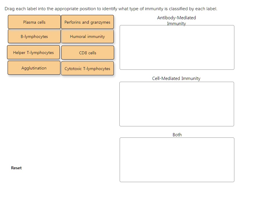 SOLVED: Drag each label into the appropriate position to identify what ... SOLVED: Drag each label into the appropriate position to identify what ...