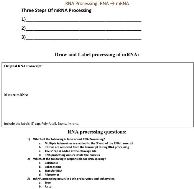 RNA Processing: RNA ? mRNA Three Steps Of mRNA Processing 1) 2) 3) Draw ...