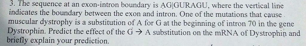 3. The sequence at an exon-intron boundary is AG| GURAGU, where the ...