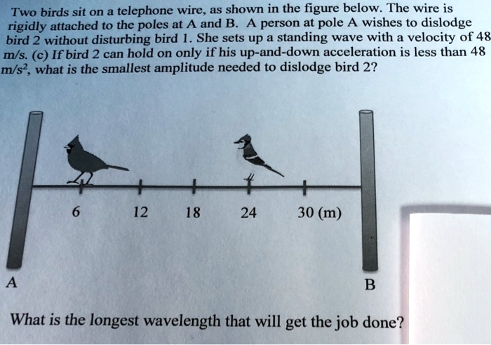 SOLVED: Two birds sit on telephone wire, as shown in the figure below ...