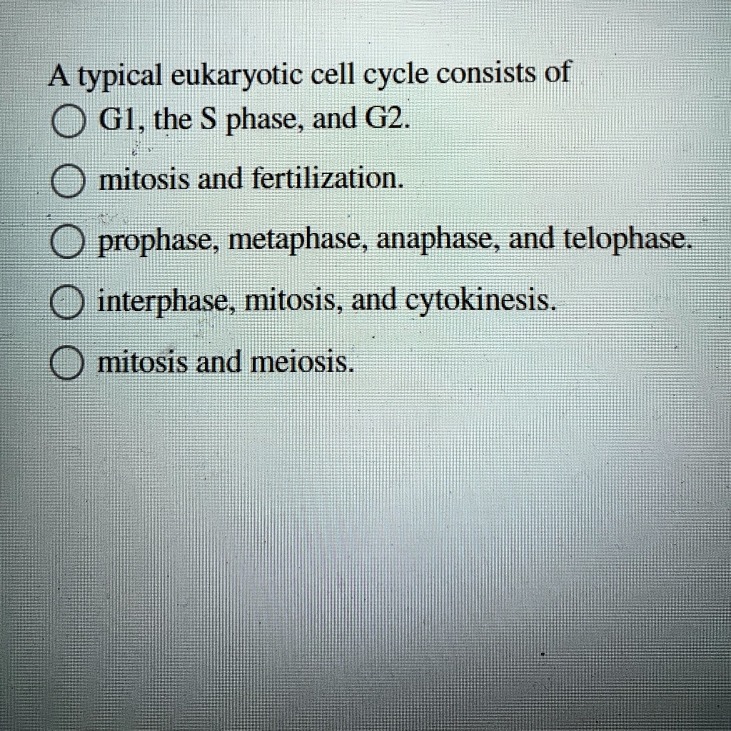 A typical eukaryotic cell cycle consists of G1, the S phase, and G2 ...