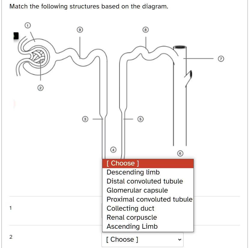 Match the following structures based on the...