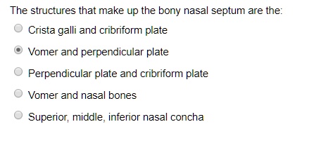 The structures that make up the bony nasal septum are...