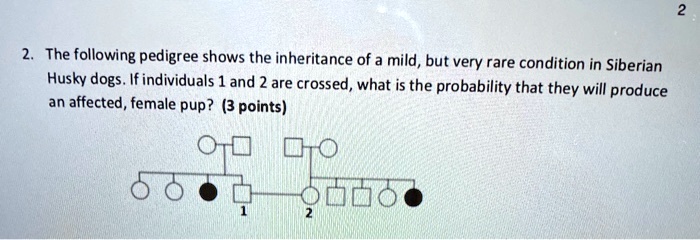 SOLVED: The following pedigree shows the inheritance of a mild, but ...